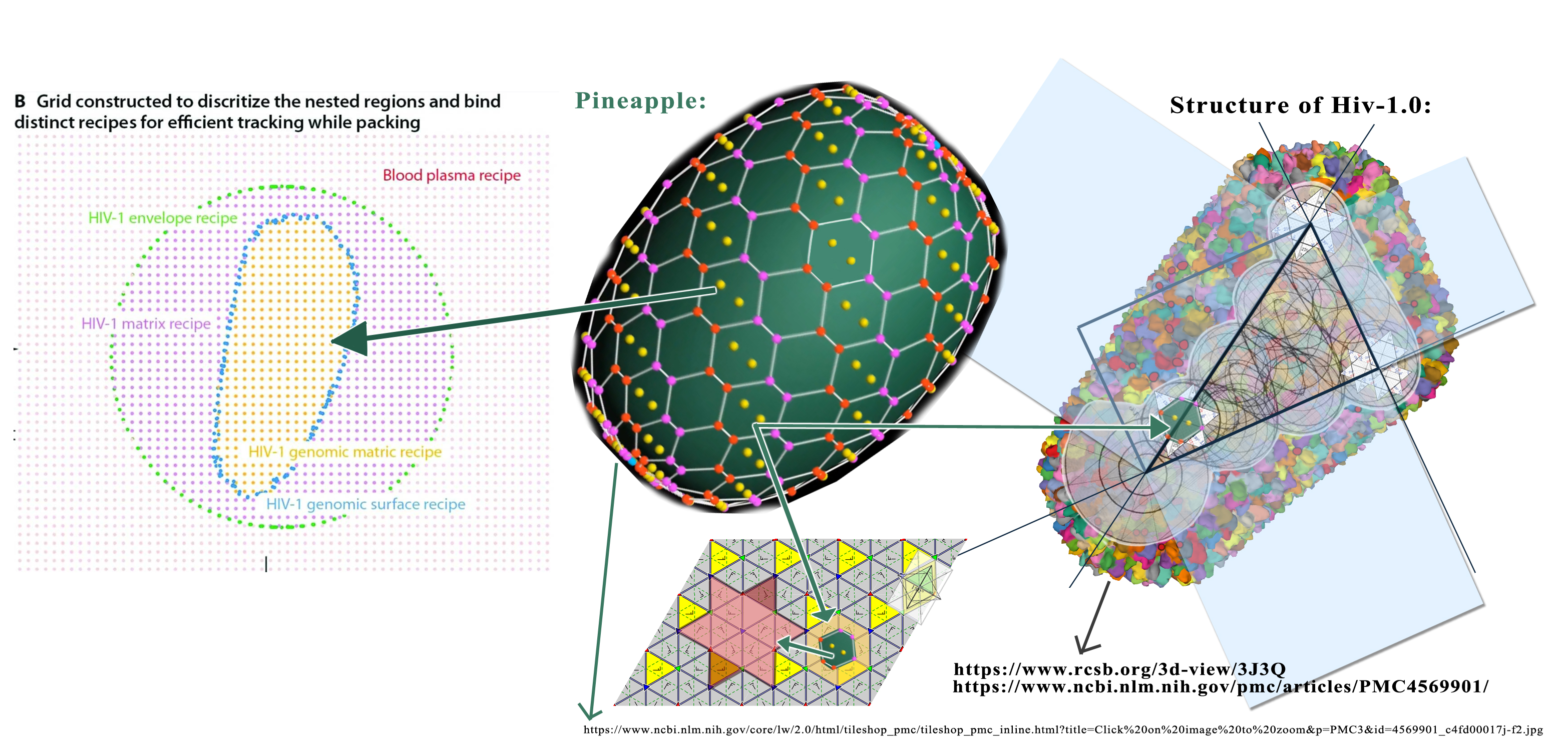 Index of /social-spacetime/DNA